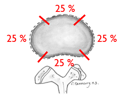 What is a herniated disc? – The Scandi Physio