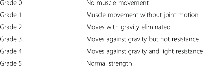 Muscle strength testing – The most important test for lumbar ...