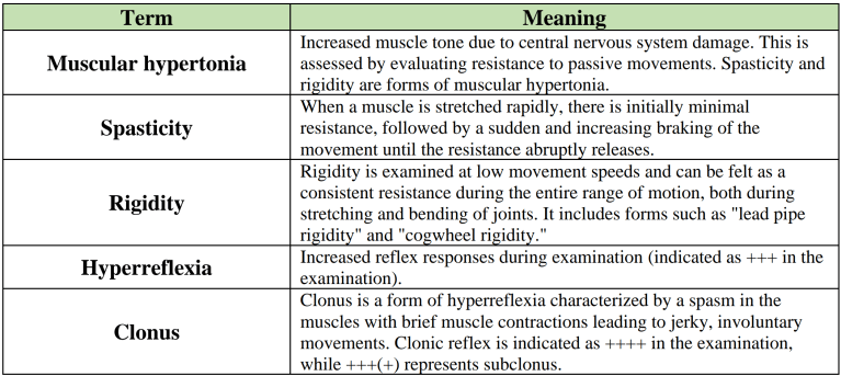 How to Tell Apart Central and Peripheral Nervous System Injuries – The ...
