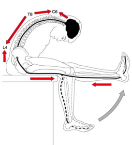 Neurodynamic tests – part 1 – The Scandi Physio