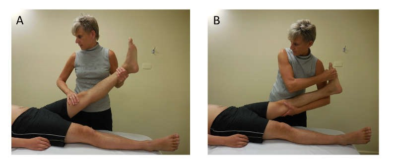 Neurodynamic tests – part 1 – The Scandi Physio
