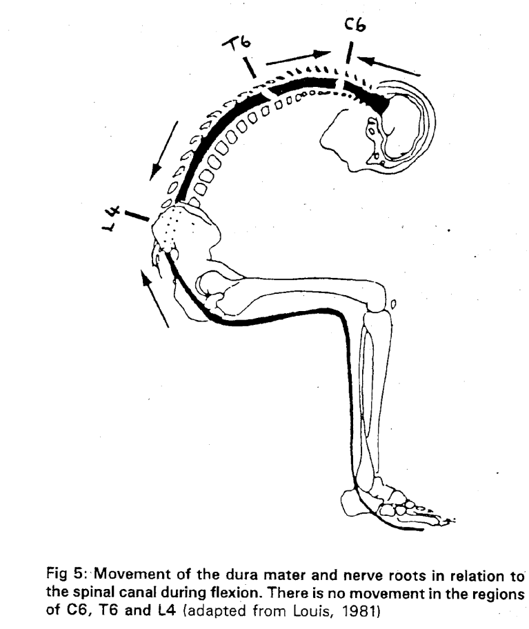 Neurodynamic tests – part 2: Lasegue, slump, n. femoralis – The Scandi ...