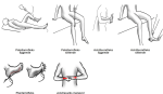 The ABC of reflex testing – The Scandi Physio