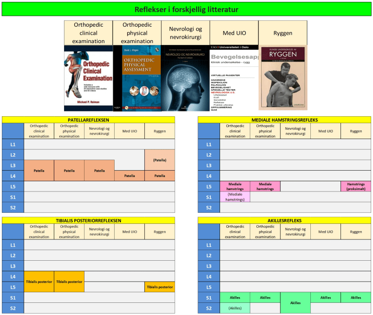 The ABC of reflex testing – The Scandi Physio – Simen Sletten