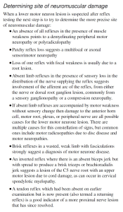 The ABC of reflex testing – The Scandi Physio