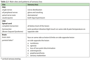 How to Tell Apart Central and Peripheral Nervous System Injuries – The ...