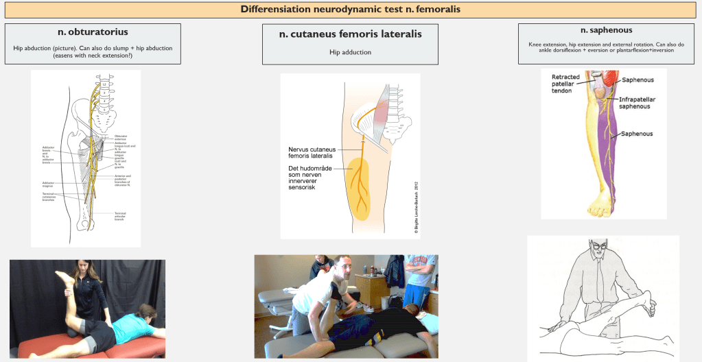 Neurodynamic tests – part 2: Lasegue, slump, n. femoralis – The Scandi ...